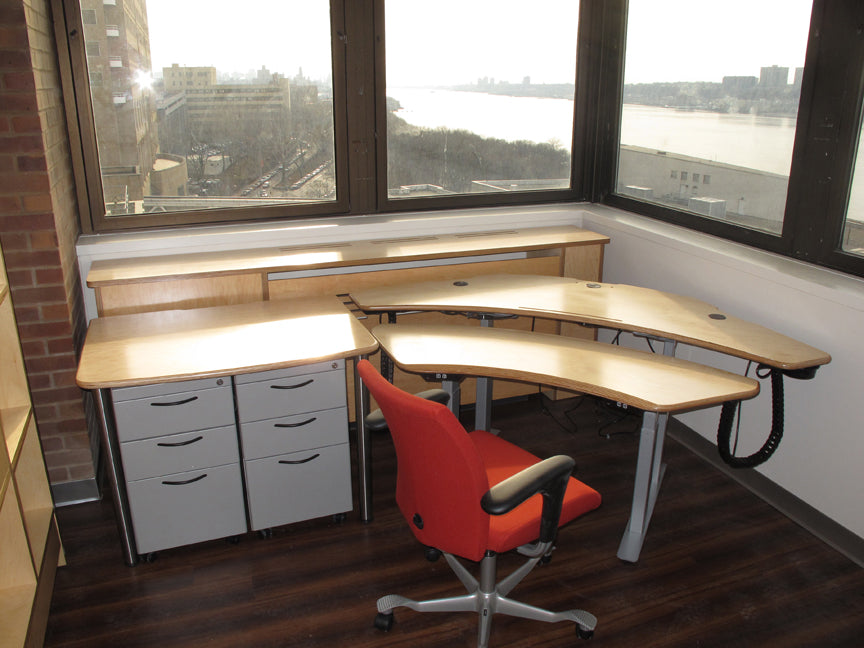 Ergonomic Desk Gallery – Biomorph Inc