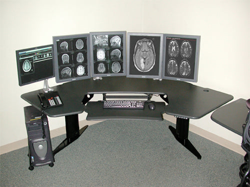 Ergonomic Desk Gallery – Biomorph Inc